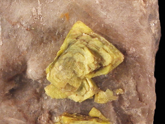 Autunite-Nanjingqiao U China - Mineral Specimen for Sale