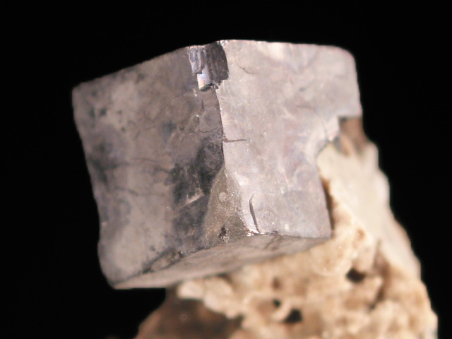 Galena-Tri state 1967) - Mineral Specimen for Sale