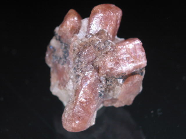 Bustamite-North Mine Australia - Mineral Specimen for Sale
